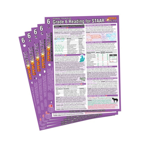 Legacy Grade 6 Reading Student Course Notes 10-Pack – DynaNotes